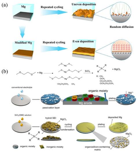 Comparison Of Construction Strategies Of Solid Electrolyte Interface Sei In Li Battery And Mg