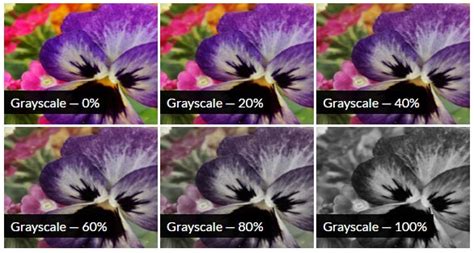 Editing Images In Css Filters Envato Tuts