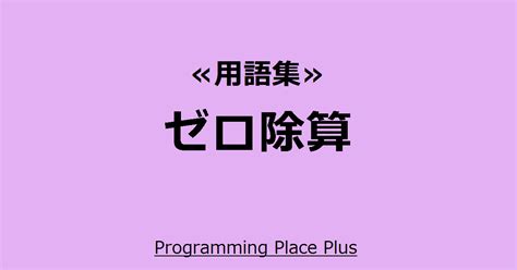 ゼロ除算 Programming Place Plus 用語集