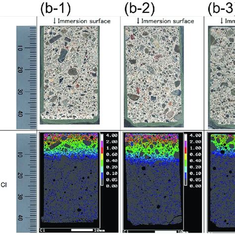 Electron Probe Microanalyzer Image Of Chloride Ion Penetration In The Download Scientific