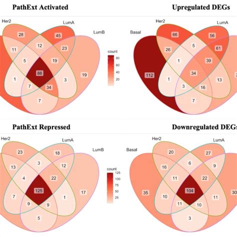 Venn Diagram Showing Gene Overlap Among Central Genes In Various