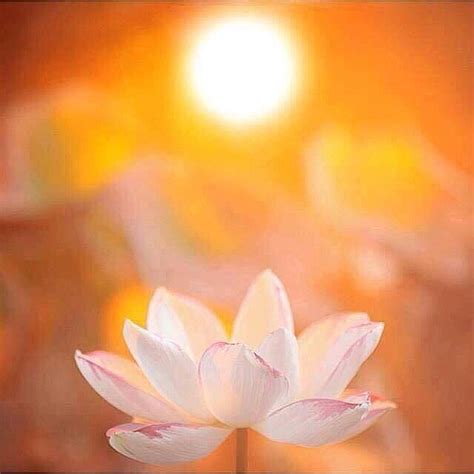 Тэндоү Тэнгэрийн зам Дээд буяны үйлэнд нэгдэж буй шинэхэн гишүүд минь тавтай морилогтун🥰