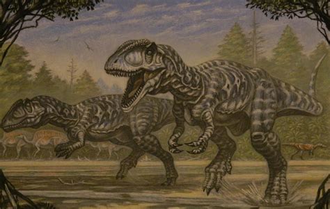 Carcharodontosaurus Size Comparison