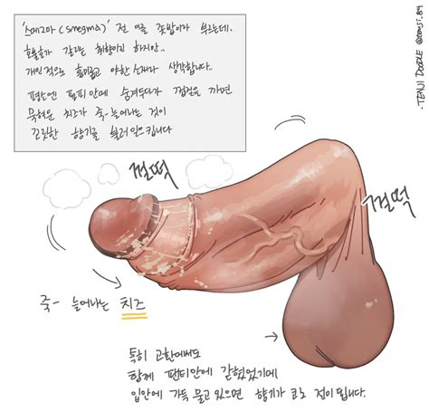 Rule 34 1boy Anatomically Correct Anatomy Balls Big Penis Close Up