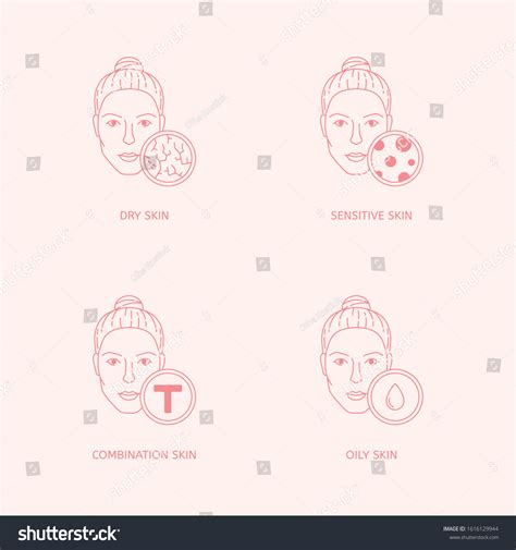 Set Skin Types Conditions On Female Stock Vector Royalty Free 1616129944 Shutterstock