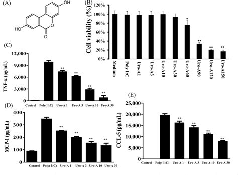 Figure 1 From Urolithin A Inactivation Of Tlr3trif Signaling To Block