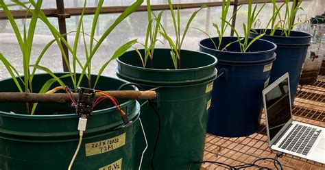 Ai Iot 컴퓨터 비전을 사용한 농작물 병해충 퇴치 Matlab And Simulink