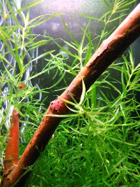 Arduino Aquarium Led Controller 3 Steps With Pictures Instructables