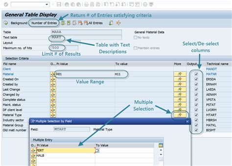 se16n selection screen michael romaniello