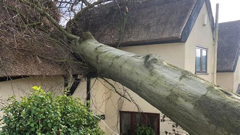 Storm Darragh Latest Two Men Die And Hundreds Of Thousands Without Power As Winds Reach 93mph