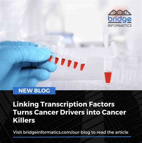 Bioinformatics Oncology Bridge Informatics