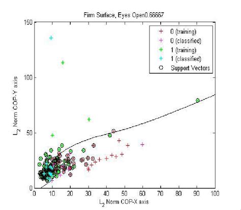Svm Training And Classification Condition Eo Download Scientific Diagram