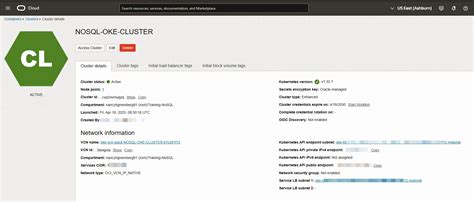 Usando O Oracle Nosql Database Migrator