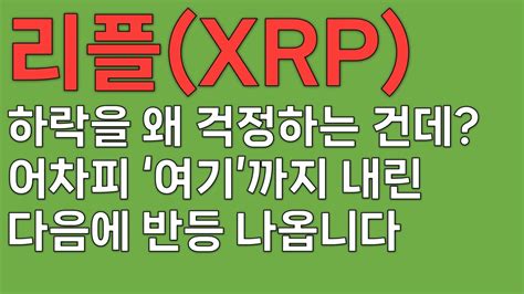 리플 Xrp 걱정하지 마세요 여기서 풀매수 하면 됩니다 Youtube