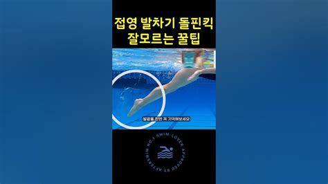 접영 발차기 돌핀킥 잘모르는 꿀팁 수영배우기 수영 Youtube