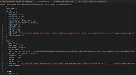 how to send metadata via kafka in deepstream transfer learning app