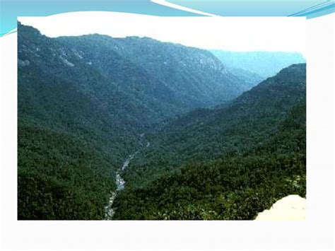 Drainage Class 9 Cbse Pptx