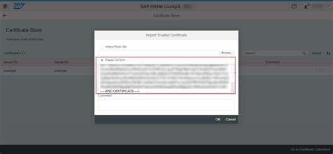 Reconfigure Trust Relationships On SAP HANA XS Systems SAP Tutorials