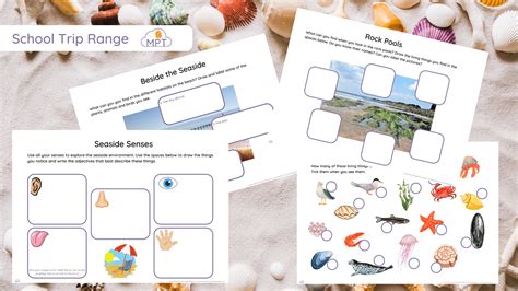 School Trips Beach Resources Pack