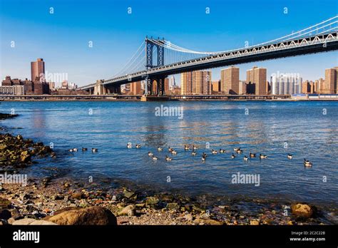 Ny Nyc Brooklyn Dumbo Ponte Di Manhattan Immagini E Fotografie Stock Ad