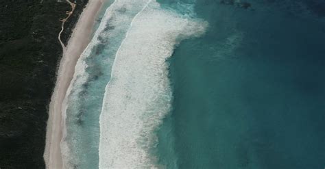 집 밖의 경치 경치가 좋은 고요한 공중 영상 구름이없는 나무 낮 대양 같은 맑은 하늘 모래 무인도의 물을 튀기는 바다 바다 경치 바다의 비주얼
