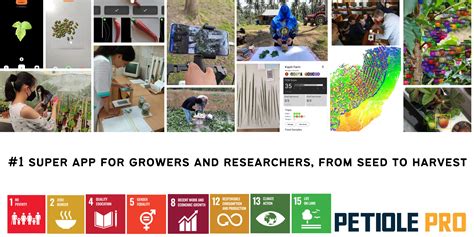 Root Nodules Count Linkedin