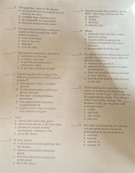 Solved The Papillary Layer Of The Dermis A Is Chegg Com