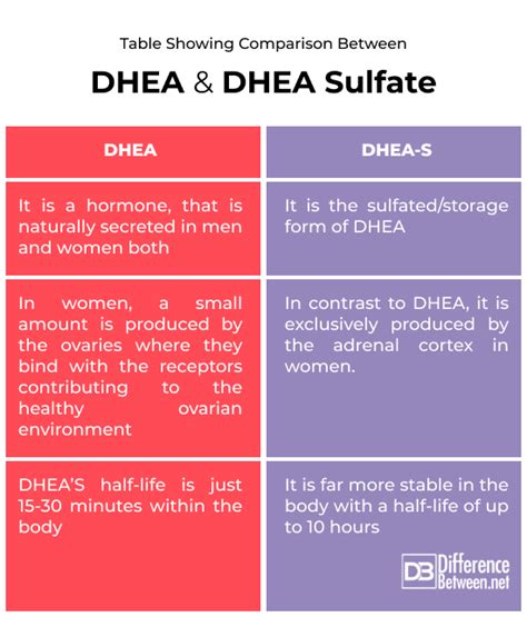 Comparison Between DHEA And DHEA Sulfate Difference Between