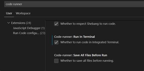 Visual Studio Code Is Not Taking Input From Keyboard When I Use C Or