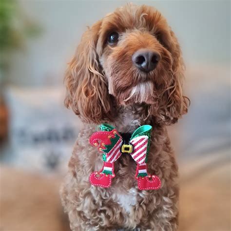 🎄35 Days Till Christmas Are You Fur The Love Of Toys