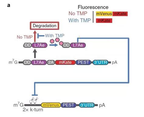 麻省理工科技评论 发现改变世界的新兴科技