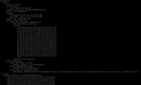 Regain Cluster Access After Expired Kubernetes Certificates Shogan Tech