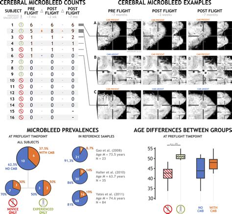 Cerebral Microbleed Counts And Examples In A Sample Of 16 Astronauts Download Scientific