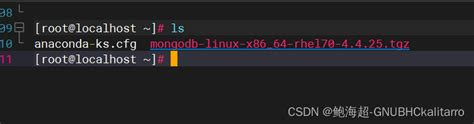 Linux:mongodb数据库源码包安装(4425版本)liunx 安装mongo源码 Csdn博客 Linux:mongodb数据库源码包安装(4425版本)liunx 安装mongo源码 Csdn博客