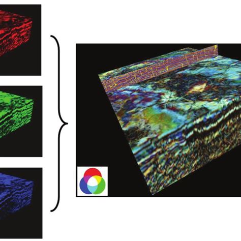 explicit encoding in the form of rgb color blends reveals more