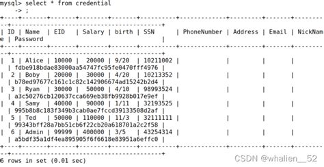 【网络攻防技术】实验八——sql注入实验 sql注入攻击实验 csdn博客