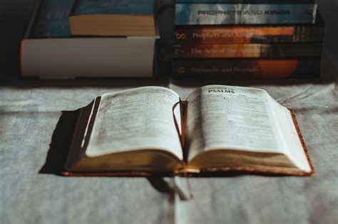 Top 10 Logical Fallacies How To Spot And Avoid Them By Usama Nisar Medium