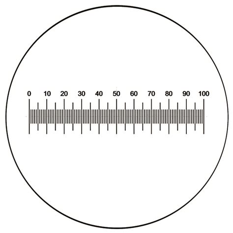 Horizontal Micrometer Scale 10mm 16mm