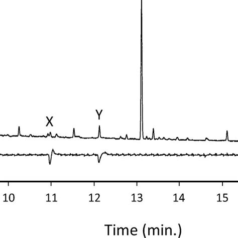 Coupled Gas Chromatographic Electroantennographic Gc Ead Analysis Of