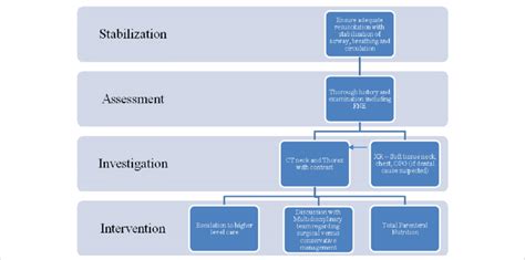 Algorithm For Otolaryngologists Managing Patients Presenting With Download Scientific Diagram