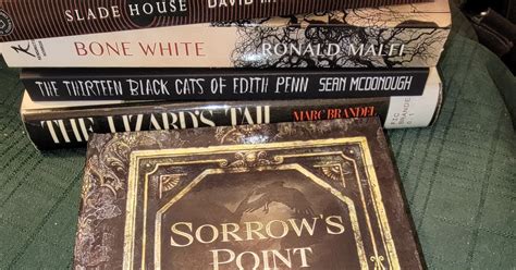 Danielle Devor Sorrows Point Hardbacks