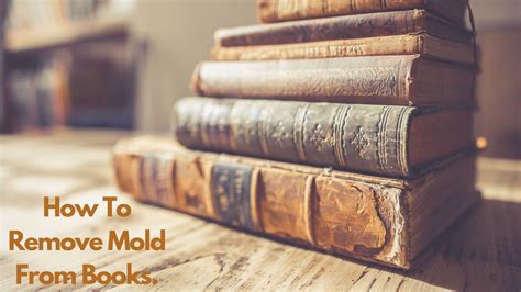 How To Remove Mold From Books Step By Step Sheepbuy Blog