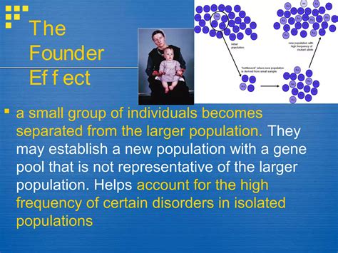 Natural Selection Genetic Drift Gene Flow Ppt