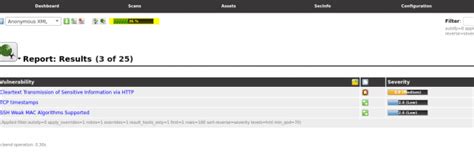 openvas on tryhackme the dutch hacker