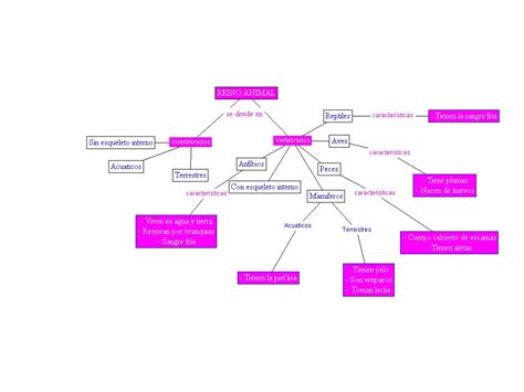 pracTICa TIC PRÁCTICA CMAP TOOLS