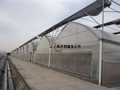 湖北省襄樊市烟草局连栋温室 工程案例 上海农程温室大棚 Powered by ASPCMS V2