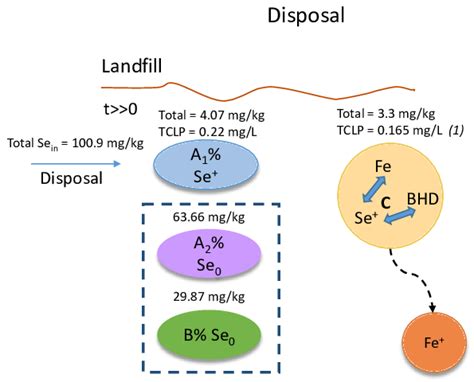Selenium Mass Balance Note That The Dashed Box Represents Selenium