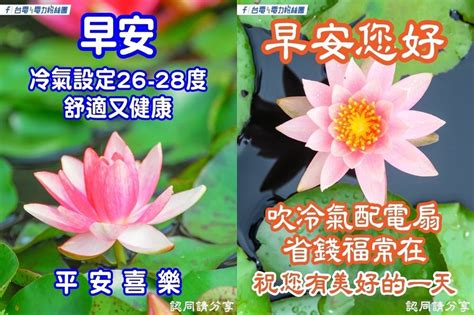 不要懷疑，就是長輩圖！台電小編：平安喜樂 認同請分享 上報 Line Today