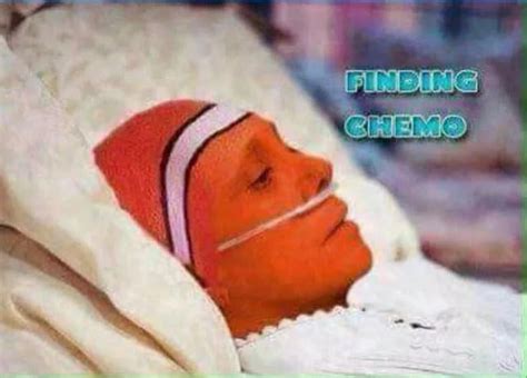 Finding Chemo R Trailerclub