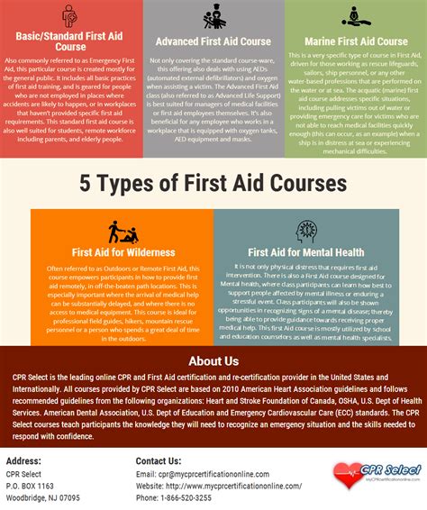 Basic First Aid Training 5 Key First Aid Courses Everyone Should Know